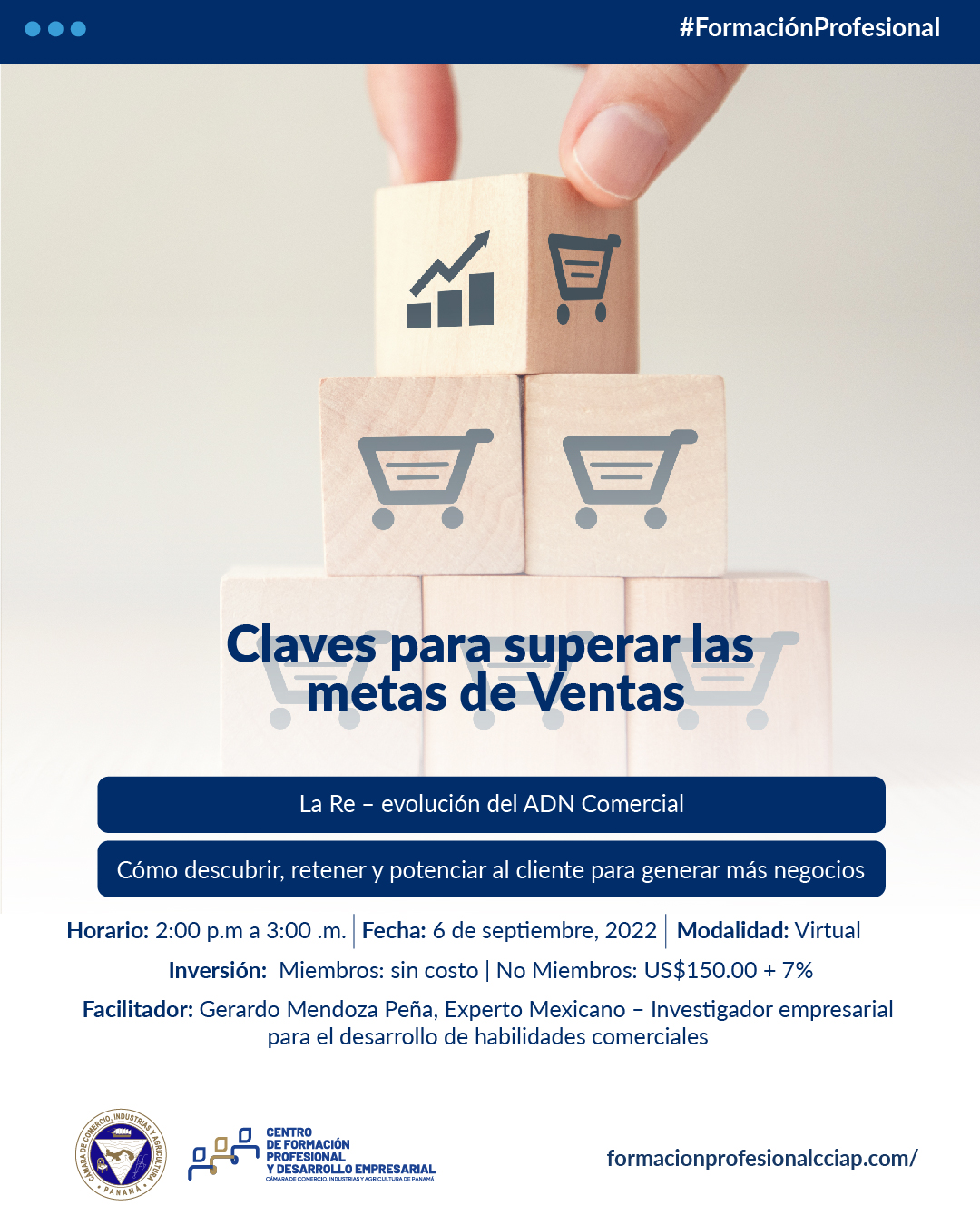 Conferencia: claves para superar las metas de ventas - Panacamara